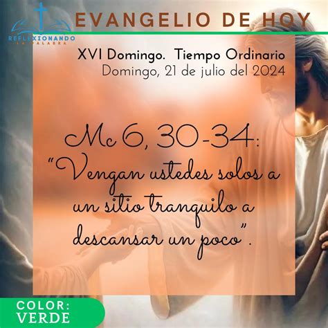 Lecturas XVI Domingo Tiempo Ordinario Ciclo B 21 De Julio Del 2024