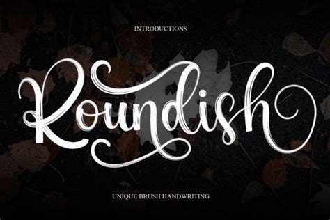 Roundish Font Fonts Free Downloads