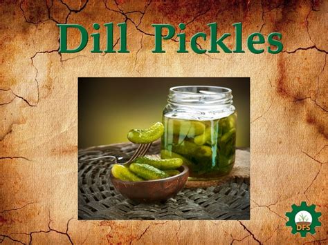 Second Life Marketplace Dfs Dill Pickles Texture Hq