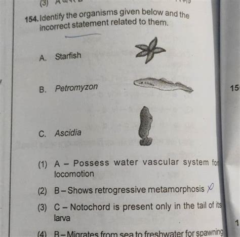 Identify The Organisms Given Below And The Incorrect Statement Relat