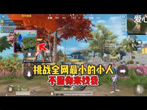 和平精英特训岛挑战全网最小的小人马来西亚求姐 YouTube