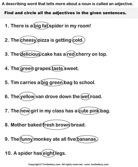 Adjectives In Sentences Worksheet Turtle Diary