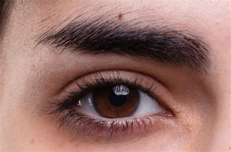 How To Get The Flat Brow Look Hd Brows®