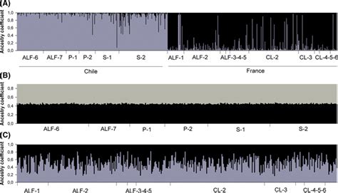 Bayesian Assignation Analysis For The Different Multilocus Genotypes Of