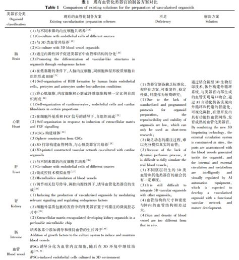 研究进展丨血管化类器官的构建思路与技术挑战 哔哩哔哩