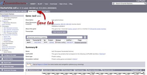 Genes And Transcripts In Ensembl Bacteria Demo
