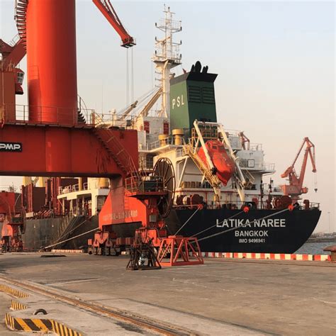 China Lysine Hcl Feed Grade Poultry And Livestock Food Suppliers