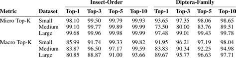 Top K Accuracy And Class Averaged Macro Top K Accuracy Based On The