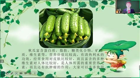 靳可昕唐山秋瓜 腾讯视频
