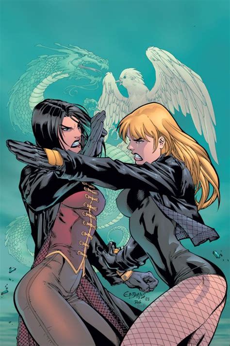 Cheshire And Black Canary Birds Of Prey 62 Cover By Ed Benes Black Canary Comics Lady Shiva