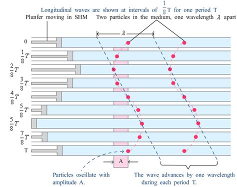 College Physics Ap101