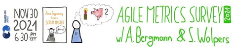 The Agile Metrics Survey 2021 — Age Of