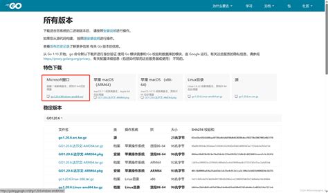 【2023最新版】linux wsl：ubuntu22 04 安装go1 20 6 win11：安装go1 20 6 goland2023