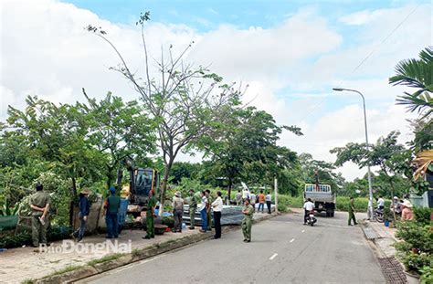 Cưỡng Chế Thu Hồi đất 3 Hộ Dân Thực Hiện Dự án Dự án Khu Dân Cư An Hòa