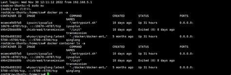 How To Recover Gitlab After Container Crash I Need Help Self Managed