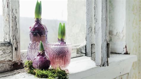 Ikigai El Secreto Japonés Para Vivir Mejor Infobae