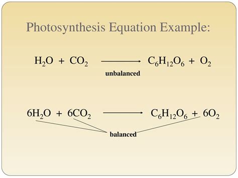 Photosynthesis Equation Balanced