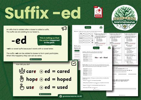 Y2 Objective 6 Suffix Ed Grammarsaurus