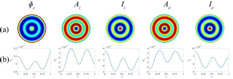 the contour and curve plot of the predictions made by the fully coupled