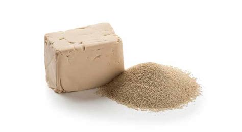 Best Yeast For Pizza Dough Tested And Compared The Dough Academy