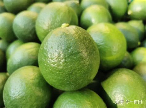 柠檬卖断货，1天涨1块！四川安岳供货商一天接61个电话求供货 知乎
