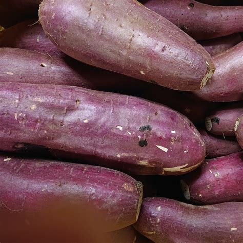訳あり 熟成 紅はるか 約10kg サイズバラバラ さつまいも蜜芋 野菜さつまいも 産直アウル 農家から直接野菜などの食材を購入できる