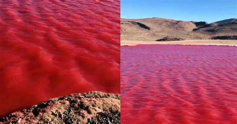 Misterio en el Río Nilo se pone rojo podría estar cumpliéndose una de las plagas del Éxodo