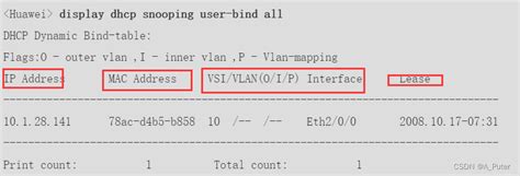 Dhcp Snooping Csdn博客