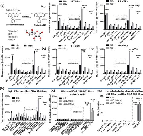 Filler‐enhanced Piezoelectricity Of Poly‐l‐lactide And Its Use As A Functional Ultrasound