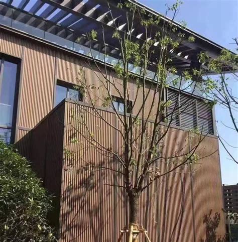 On Trend Style Of Composite Wood Cladding For Your Next Project Myfull Decor Wall Panels