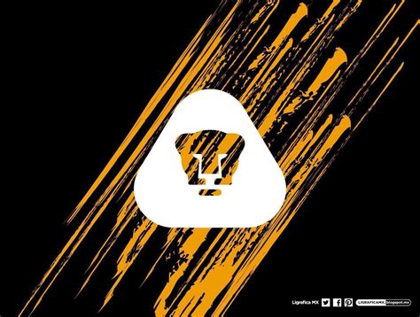 Pumas Wallpapers Wallpaper Cave