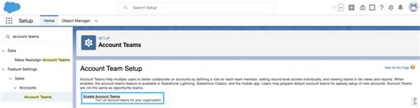 Best Practices For Using Salesforce Account Teams Salesforce Ben