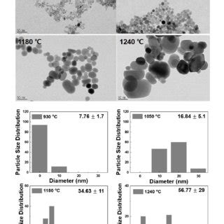 Fig S2 Representative Transmission Electron Microscopy Images