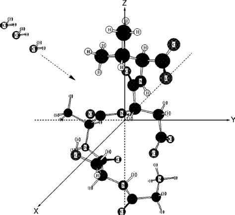 Comparison Of Ab Initio And DFT Calculations For Triglycine Water Download Scientific Diagram