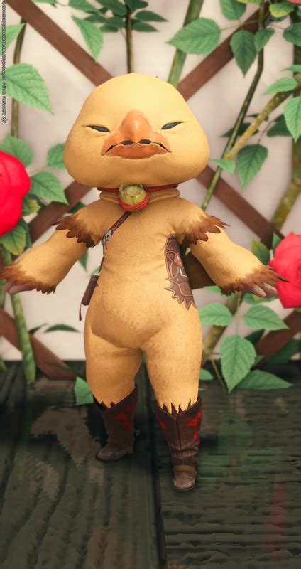 にゃまさんのミラプリ Mirapri Snap