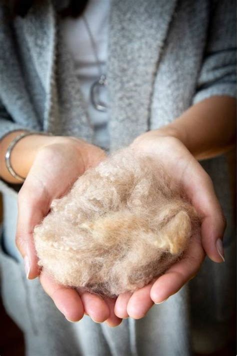 Linen Vs Wool Eco Friendly Fabric Showdown At Hemptique