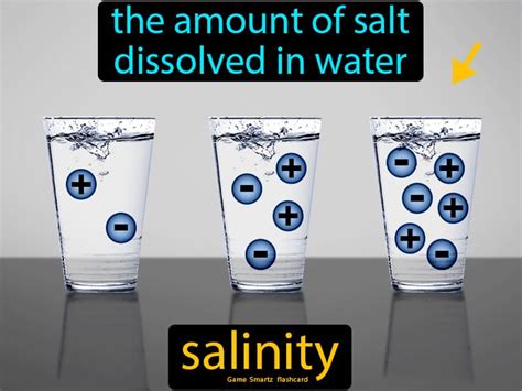 Salinity Easy Science
