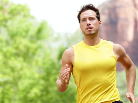 Male Hormone Cycles Healthy Living