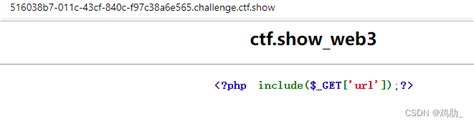 ctf ctfshow更简单的web题 ctf go csdn博客