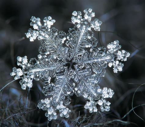 What Are The Coolest Inventions Punwow