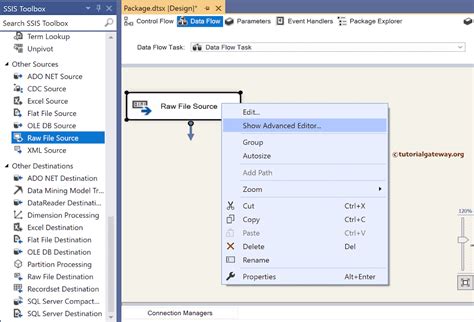 SSIS Raw File Source