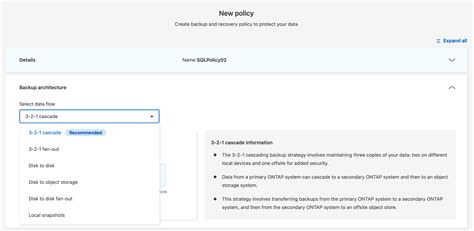 Netapp Bluexp Backup And Recovery For Mssql With Advanced Protection In