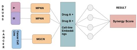 GitHub Paveethranswam Drug Synergy Prediction Using Graph Neural Networks