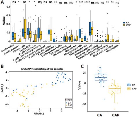 A Validation Of Cell Components Derived From Cibersort Software