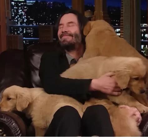 Keanu Reeves Gets To Cuddle A Bunch Of Puppies And His Reaction Is