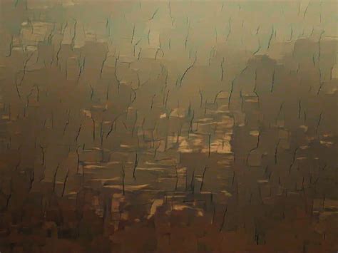 Numerous Forest Fires In Brazils Pantanal Wetlands