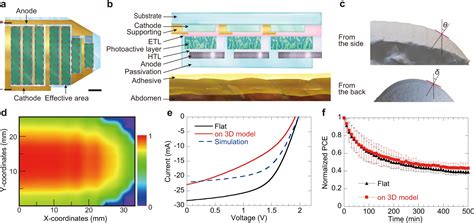 Scientists Turned A Madagascar Cockroach Into A Remote Controlled Cyborg