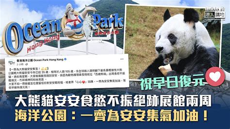 【祝早日復元】大熊貓安安食慾不振絕跡展館兩周 海洋公園：一齊為安安集氣加油！ 焦點新聞 港人講地