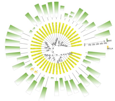 Tbtools基因家族分析详细教程 3 基因家族成员的进化分析1 腾讯云开发者社区 腾讯云