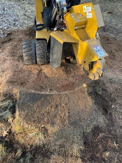 How Does Stump Grinding Work